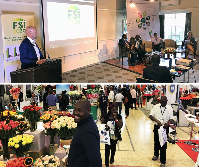 IFTEX 2017: focus on sustainability and market access – FSI 2030